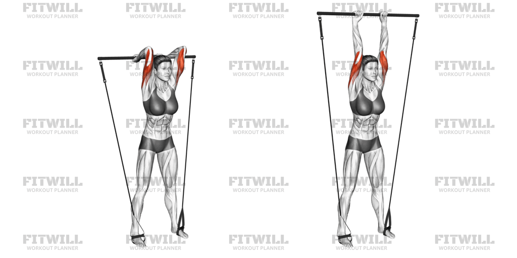 Bar Band Overhead Triceps Extension: Exercise Guide, Techniques ...