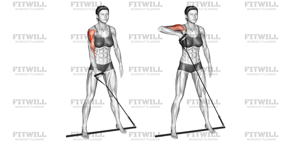 Bar Band Standing Single-Arm Upright Row: Exercise Guide, Techniques ...