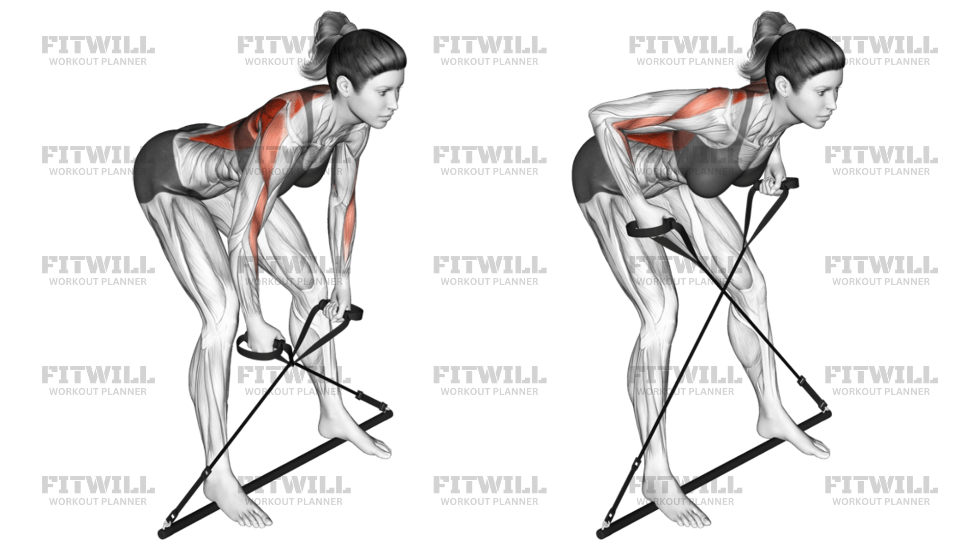 Bar Band Bent Over Row: Exercise Guide, Techniques, Benefits, How to ...