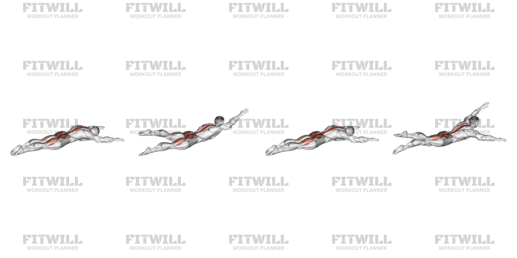 Alternating Superman: Exercise Guide, Video, Techniques, Benefits, How ...