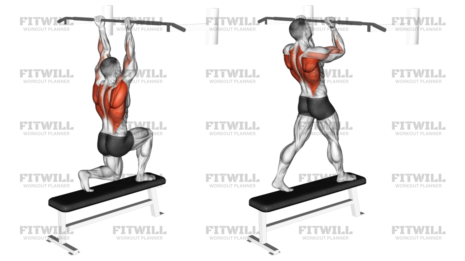 Assisted Chin-up (low Bar Position): Exercise Guide, Techniques ...