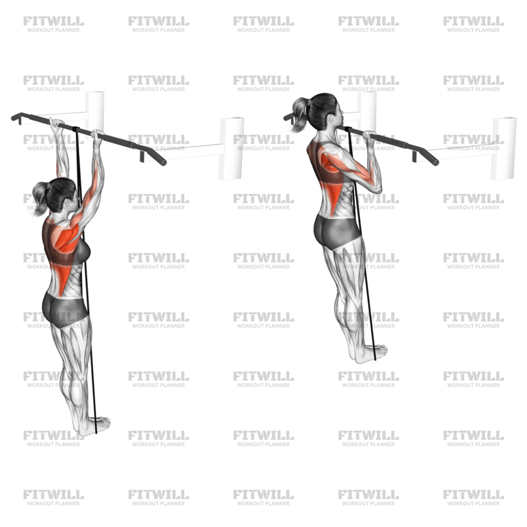 Band Assisted Chin-Up: Exercise Guide, Techniques, Benefits, How to ...