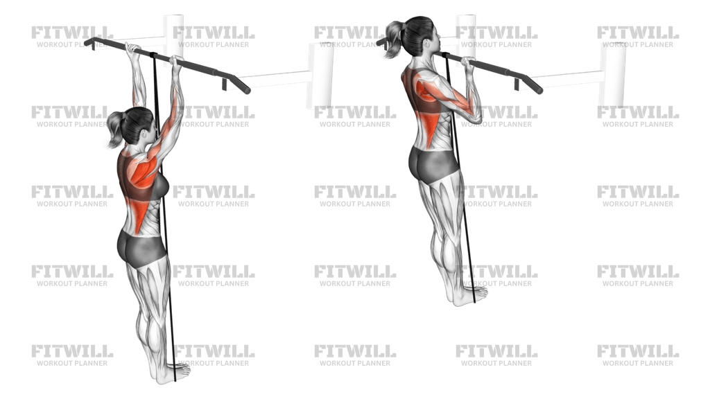 Band Assisted Chin-Up: Exercise Guide, Techniques, Benefits, How to ...