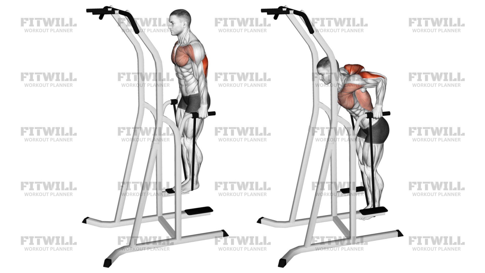 Band Assisted Dip (VERSION 2): Exercise Guide, Techniques, Benefits ...