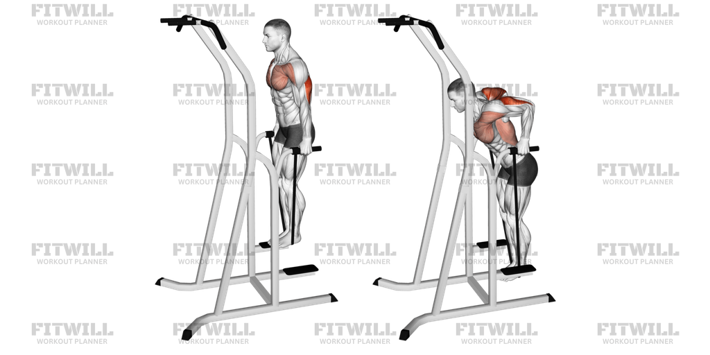 Band Assisted Dip (VERSION 2): Exercise Guide, Techniques, Benefits ...