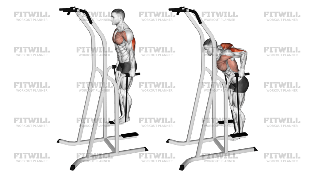 Band Assisted Dip (VERSION 2): Exercise Guide, Techniques, Benefits ...