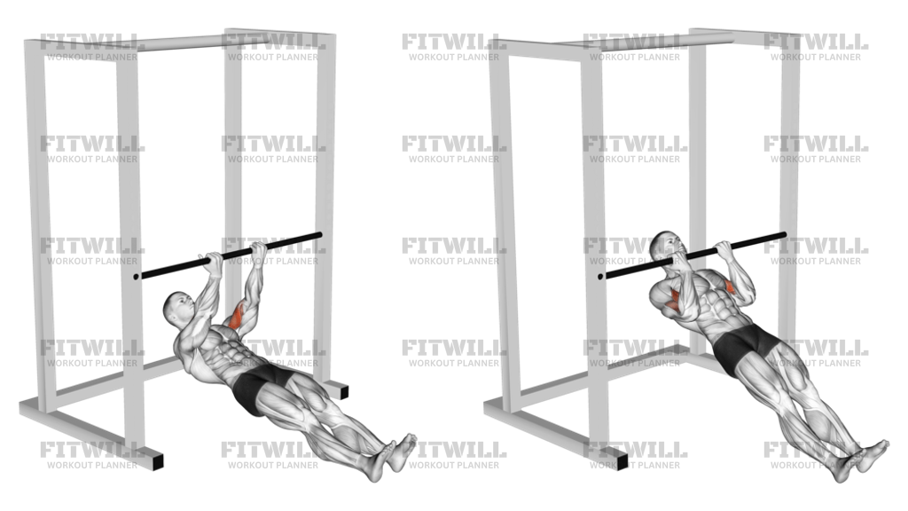 Bar Biceps Curl: Exercise Guide, Video, Techniques, Benefits, How to ...