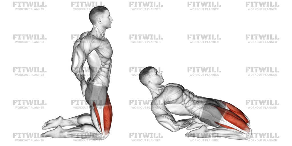 Bodyweight Kneeling Sissy Squat: Exercise Guide, Video, Techniques ...
