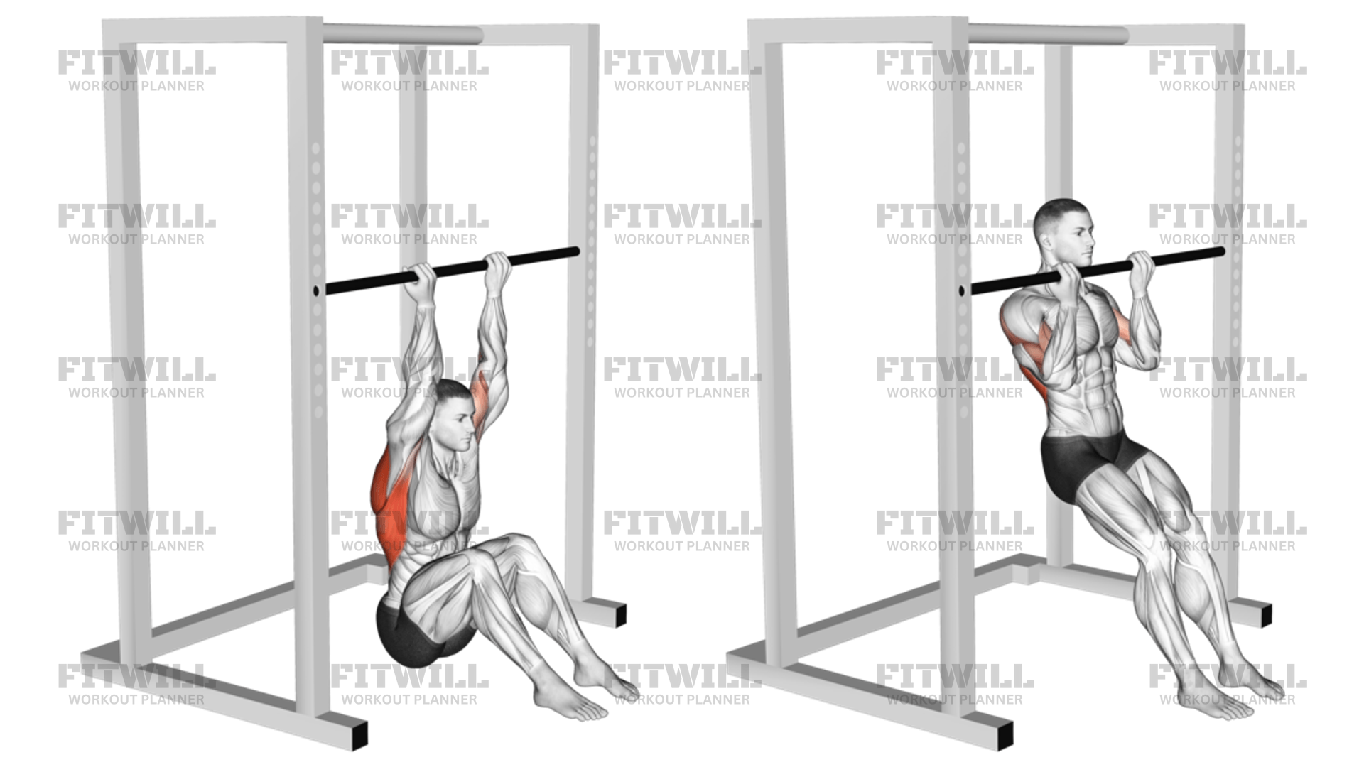 Dominadas Con Agarre Supino (en Posición De Cuclillas): Guía de ...