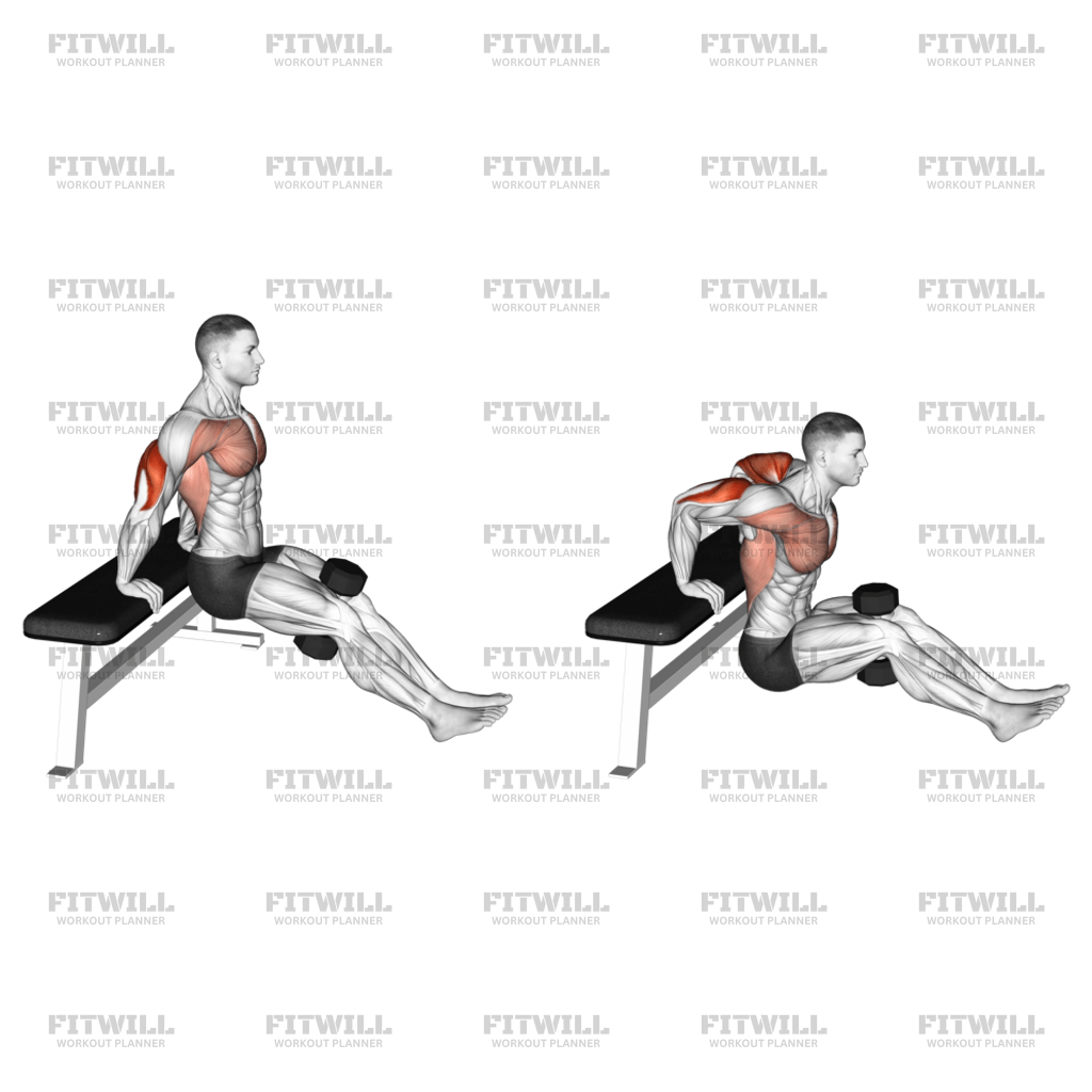Dumbbell Bench Dip: Exercise Guide, Video, Techniques, Benefits, How to ...