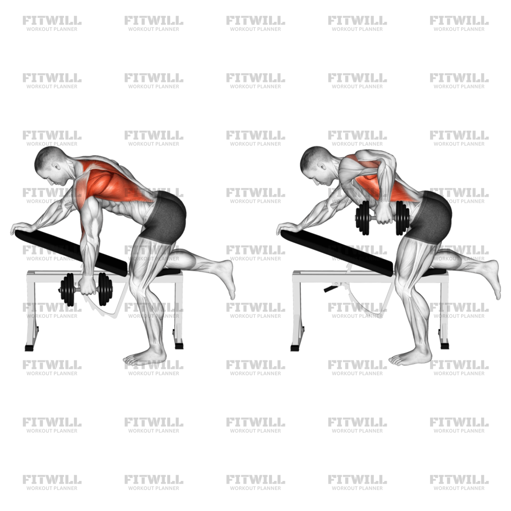 Dumbbell Bent Over Single Arm Row (VERSION 2): Exercise Guide ...