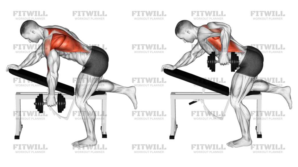 Dumbbell Bent Over Single Arm Row (VERSION 2): Exercise Guide ...
