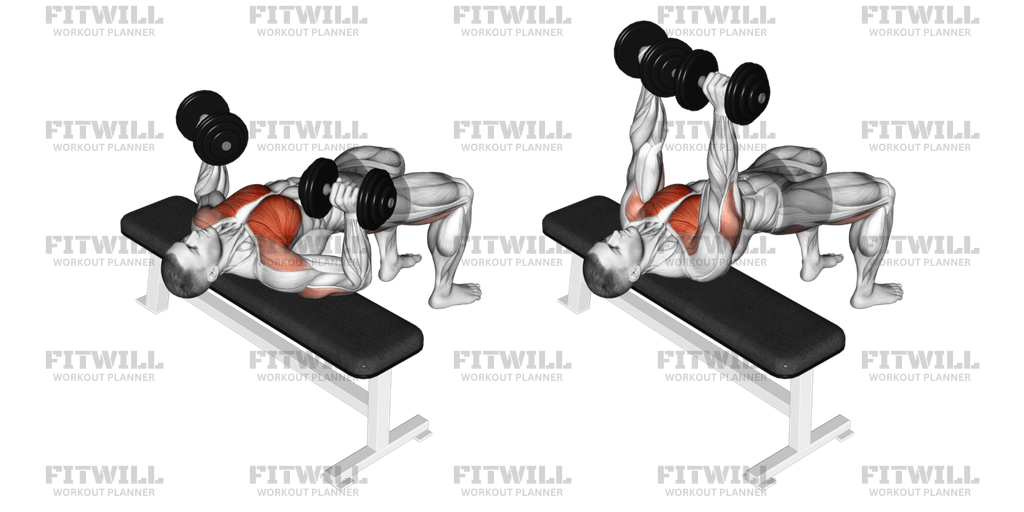 Dumbbell Bridge Bench Press: Exercise Guide, Techniques, Benefits, How ...