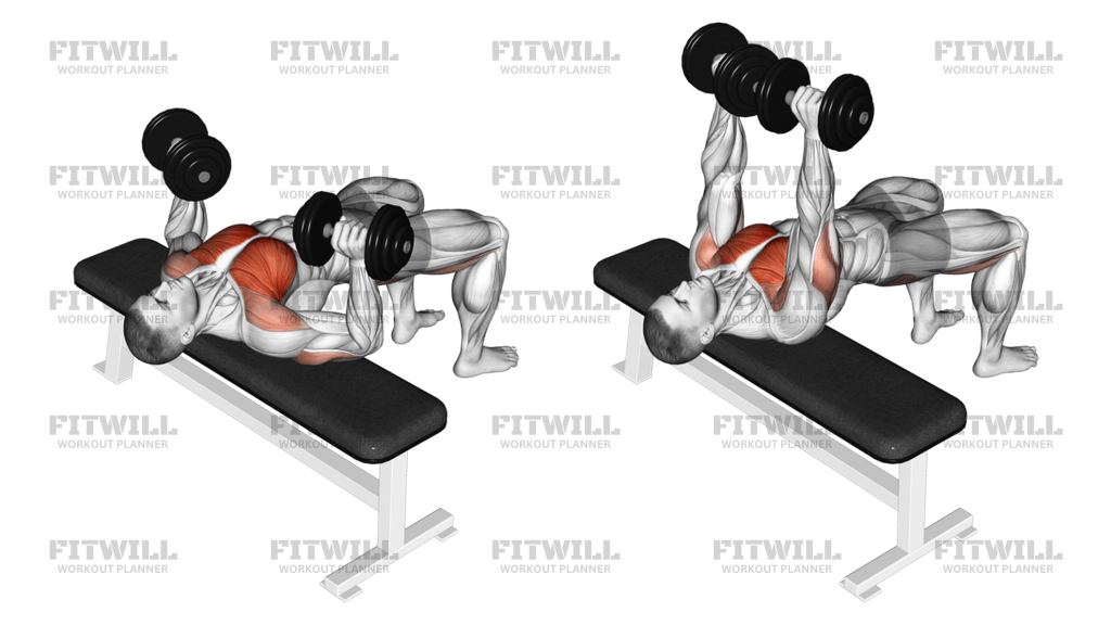 Dumbbell Bridge Bench Press: Exercise Guide, Techniques, Benefits, How ...