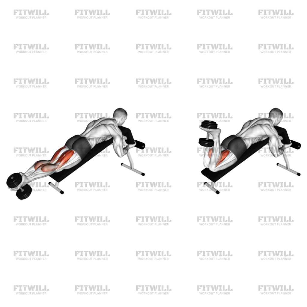 Dumbbell Decline Lying Leg Curl: Exercise Guide, Video, Techniques ...
