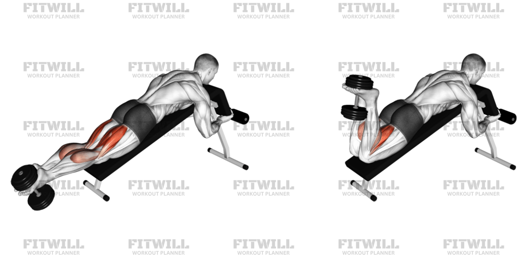 How to do Dumbbell Decline Lying Leg Curl: Techniques, Benefits, Tips ...
