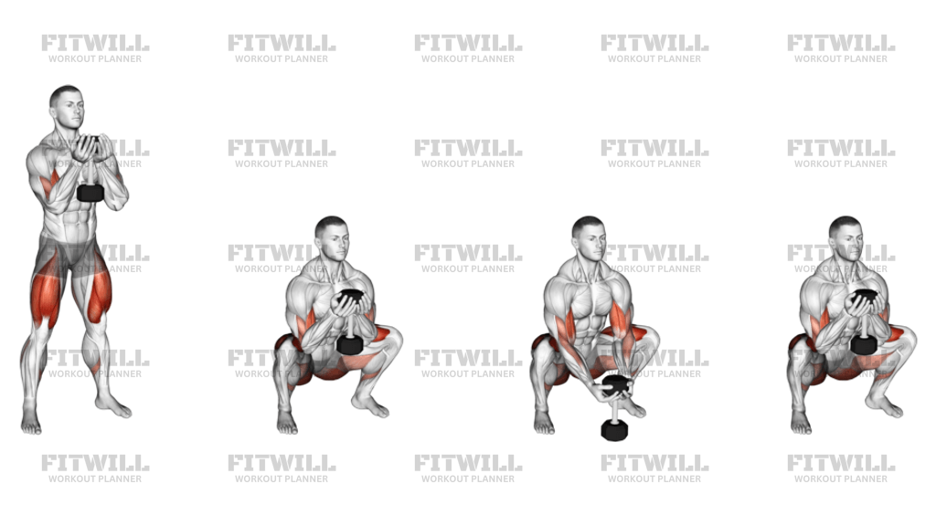 Dumbbell Goblet Squat And Biceps Curl Exercise Guide Techniques Benefits How To Muscles