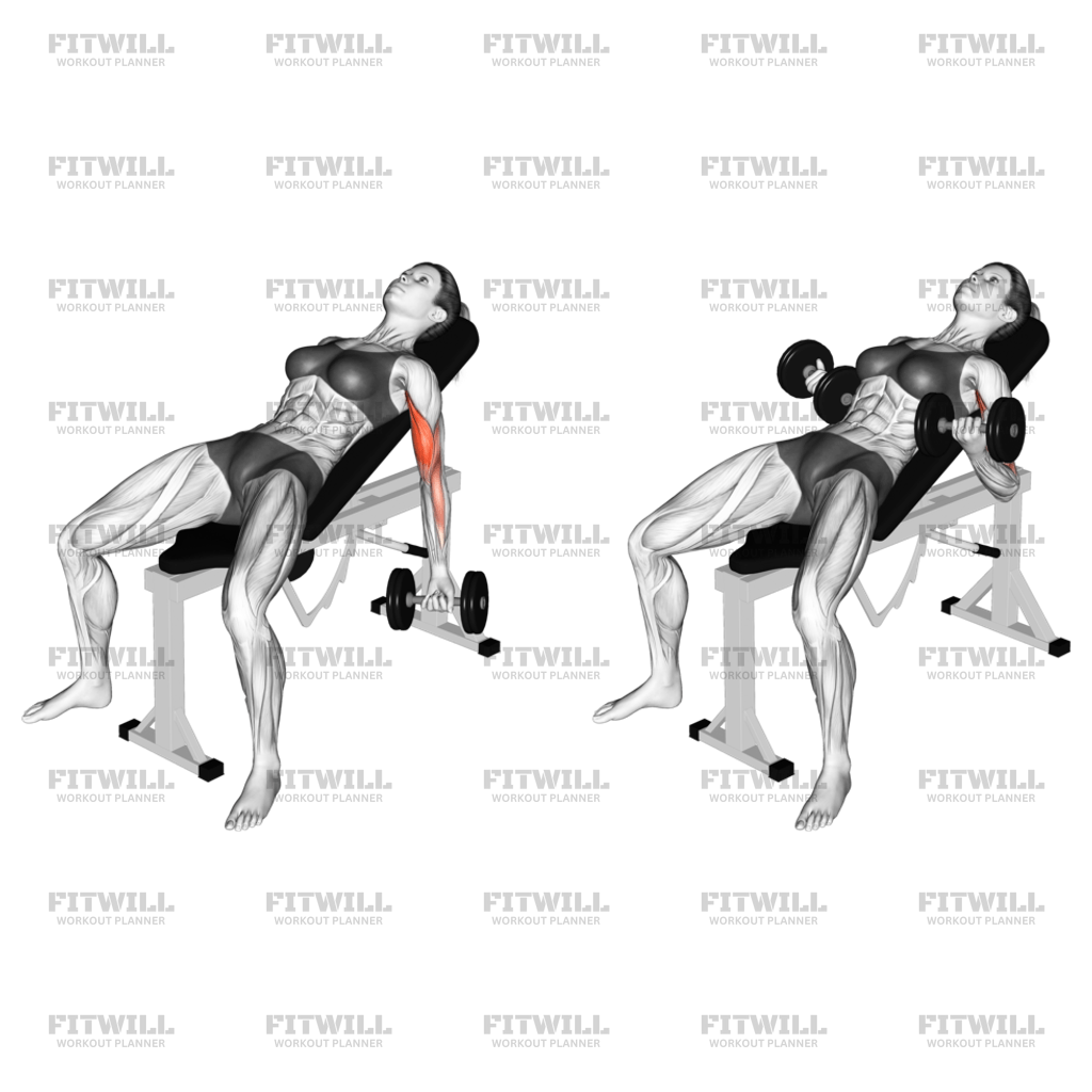 Dumbbell Incline Biceps Curl (VERSION 2): Exercise Guide, Techniques ...