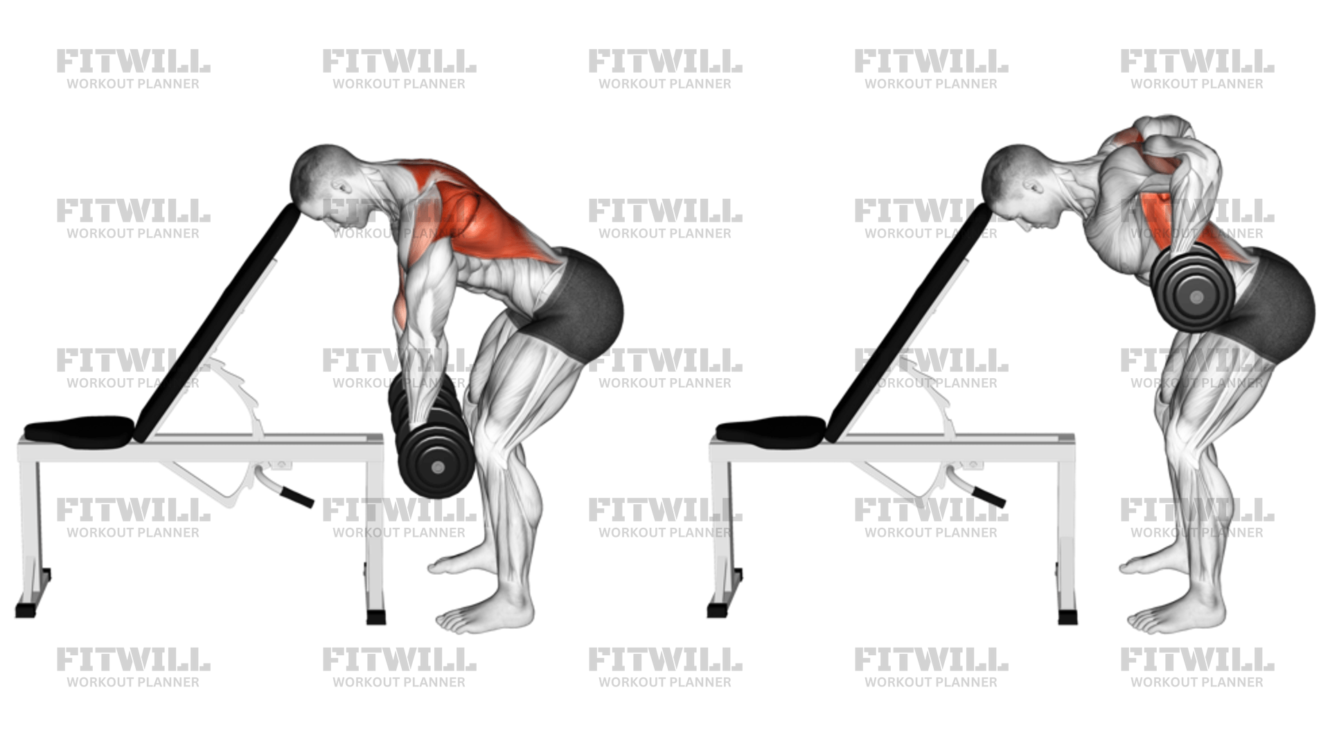 Dumbbell Incline Head Supported Row: Exercise Guide, Techniques ...