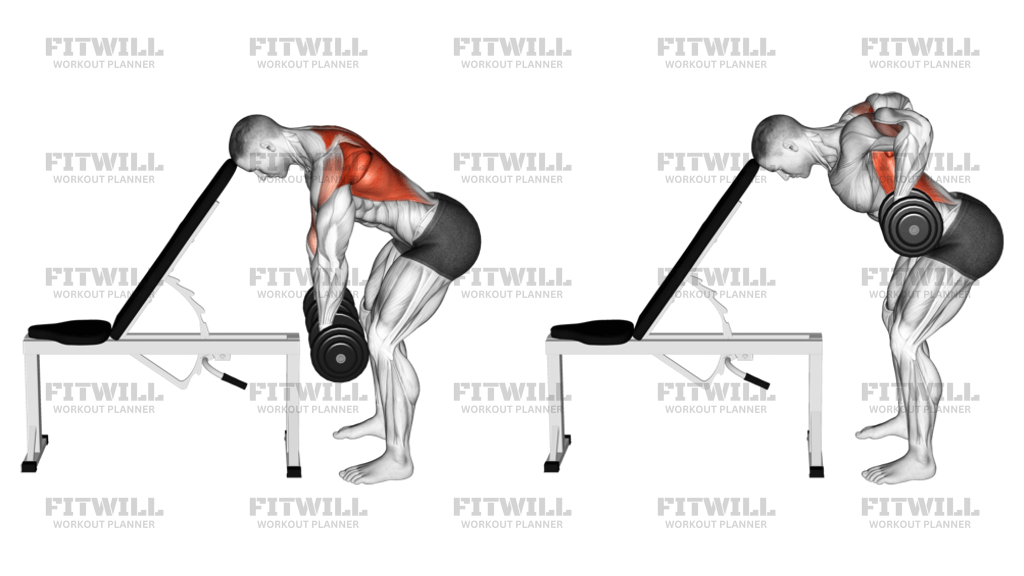 Remada Inclinada Com Halteres Com Suporte Para Cabeça: Guia de ...