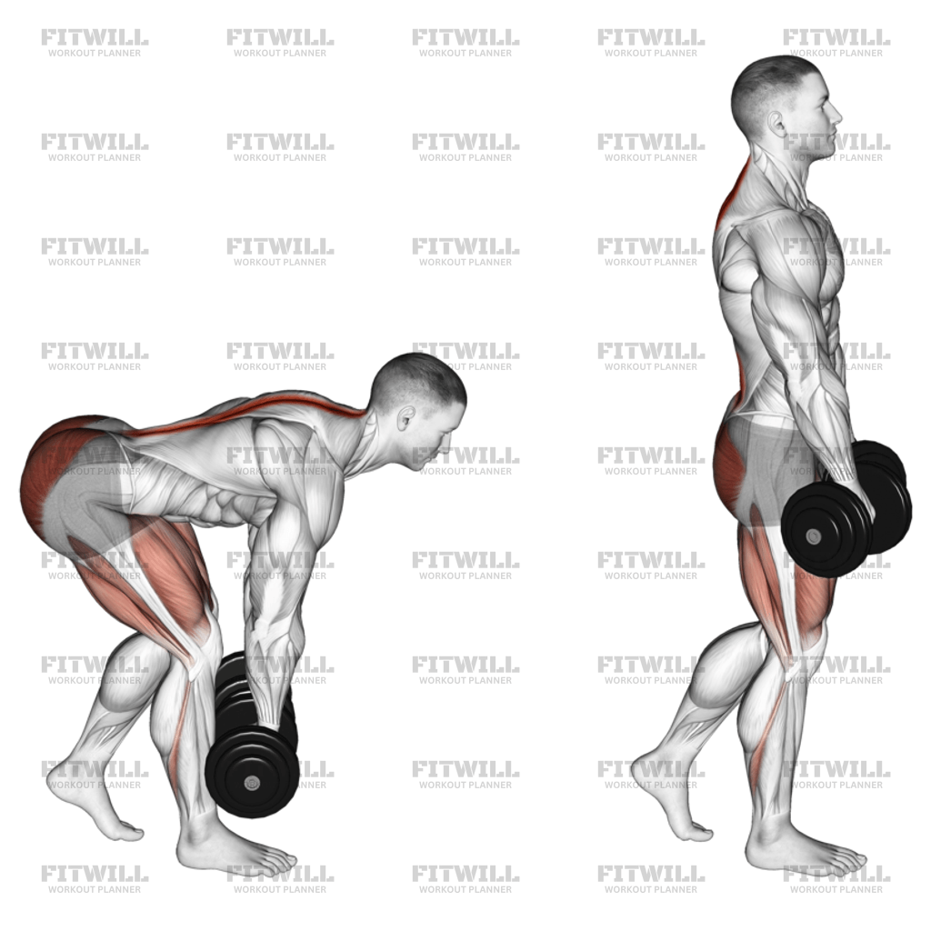 Dumbbell Staggered Stance Romanian Deadlift: Exercise Guide, Techniques ...