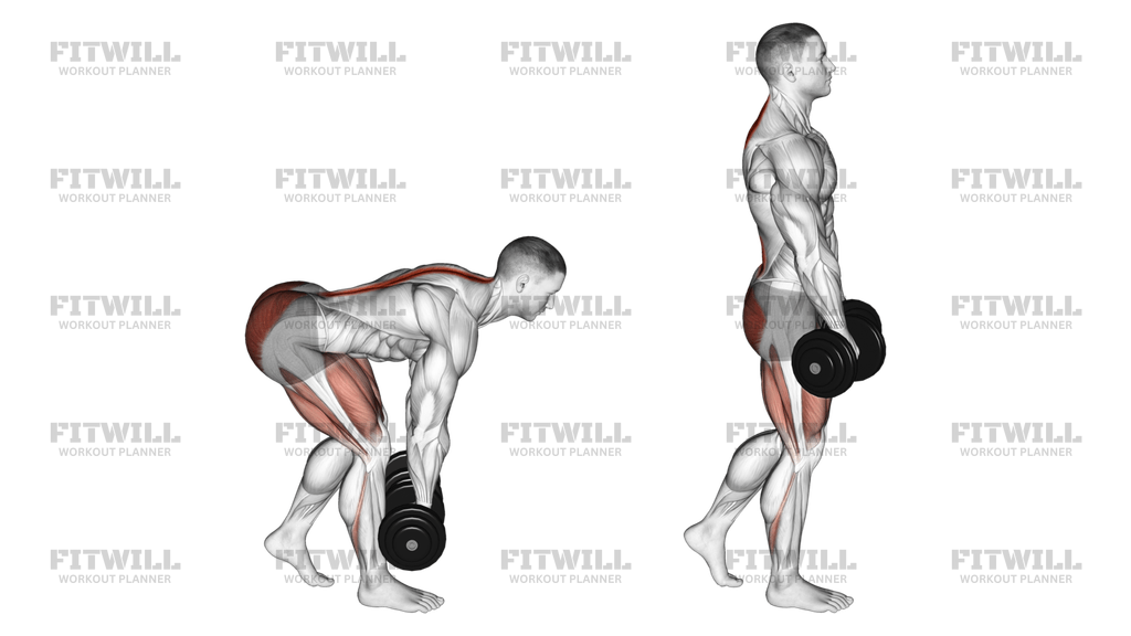 Dumbbell Staggered Stance Romanian Deadlift: Exercise Guide, Techniques ...