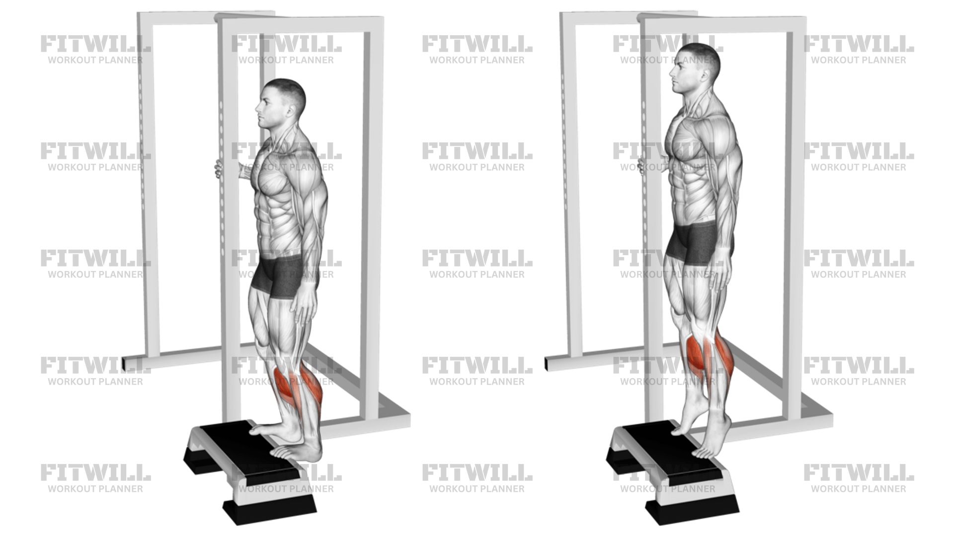 Elevated Standing Calf Raise: Exercise Guide, Techniques, Benefits, How ...