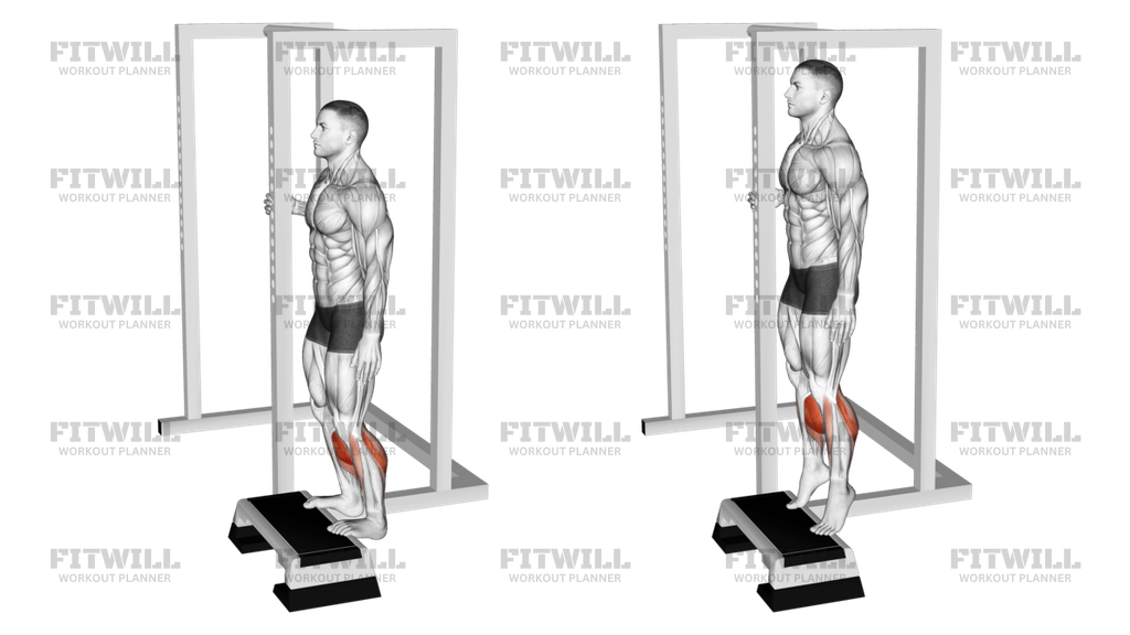 Elevated Standing Calf Raise: Exercise Guide, Techniques, Benefits, How ...