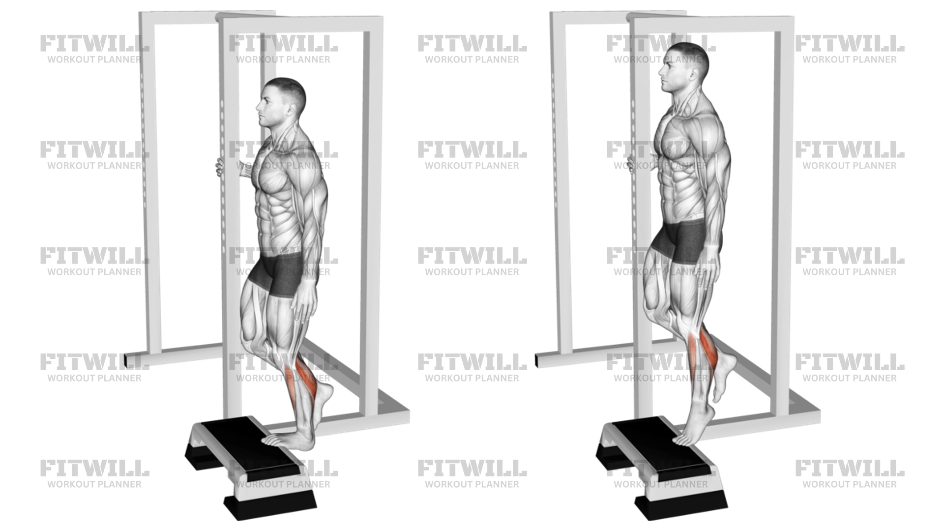 Elevated Standing Single Leg Calf Raise: Exercise Guide, Techniques ...