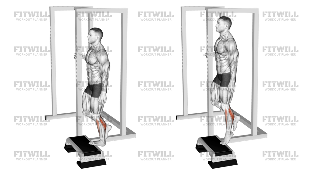 Elevated Standing Single Leg Calf Raise: Exercise Guide, Techniques ...