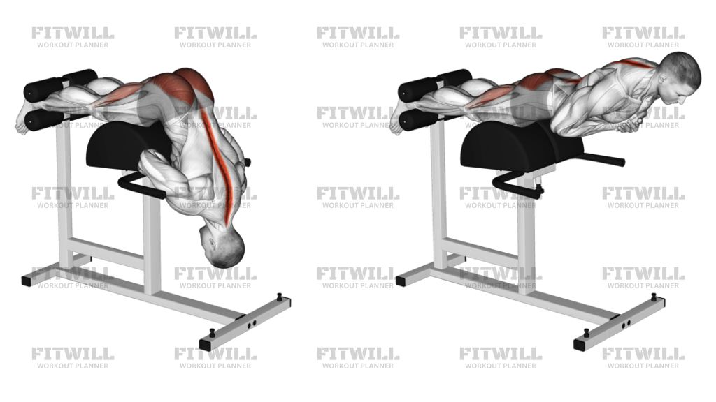 Glute Ham Developer Hip Extension: Exercise Guide, Video, Techniques ...