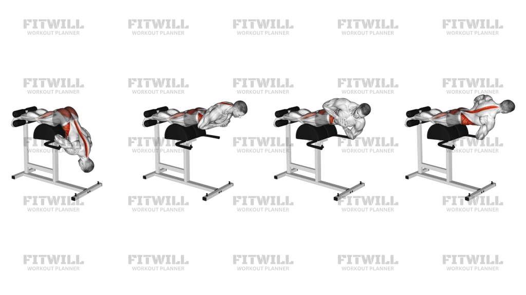 Glute Ham Hyperextension Twist: Exercise Guide, Techniques, Benefits ...