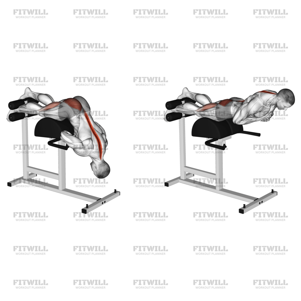 Glute Ham Single Leg Hyperextension: Exercise Guide, Techniques ...