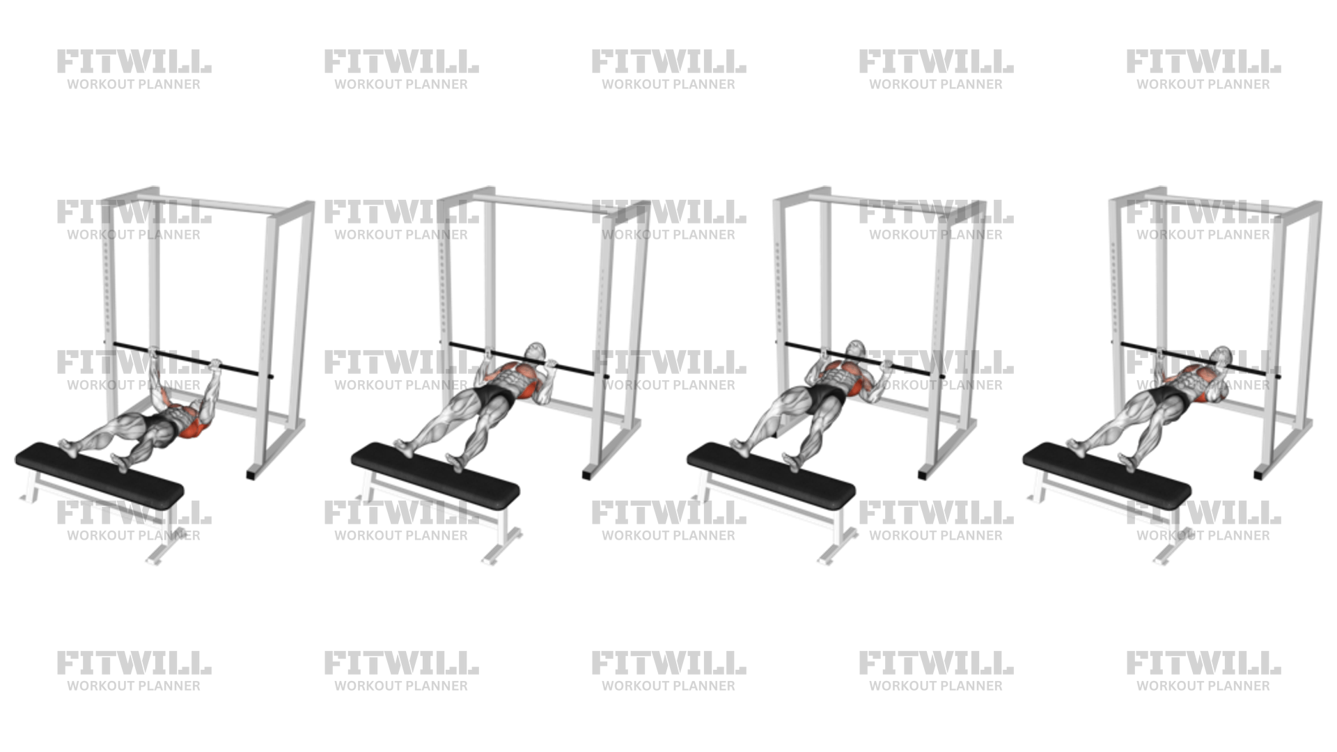 Deslize De Remada Invertida: Guia de Exercícios, Técnicas, Benefícios ...