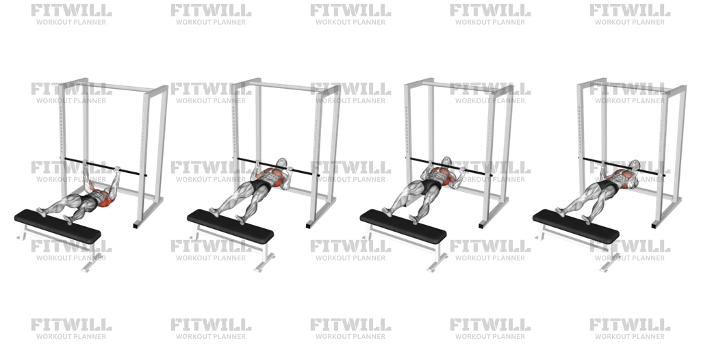Deslize De Remada Invertida: Guia de Exercícios, Técnicas, Benefícios ...