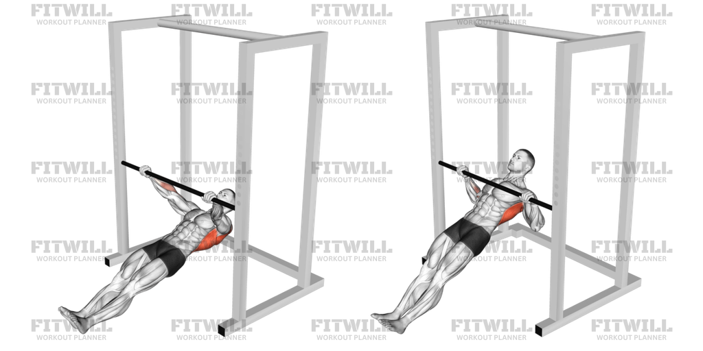 Inverted Wide Row: Exercise Guide, Techniques, Benefits, How to ...