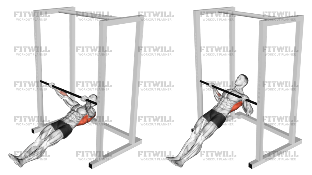 Inverted Wide Row: Exercise Guide, Techniques, Benefits, How to ...