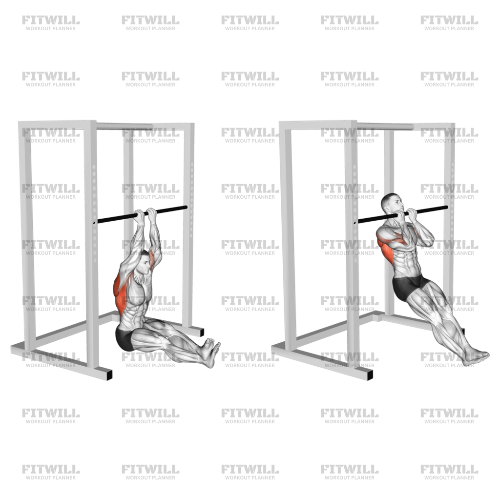 Narrow Seated Chin-up: Exercise Guide, Techniques, Benefits, How to ...