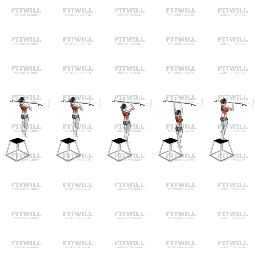 Pull-Up Negative: Exercise Guide, Video, Techniques, Benefits, How to ...