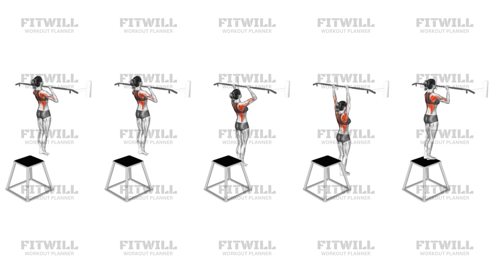Pull-Up Negative: Exercise Guide, Video, Techniques, Benefits, How to ...