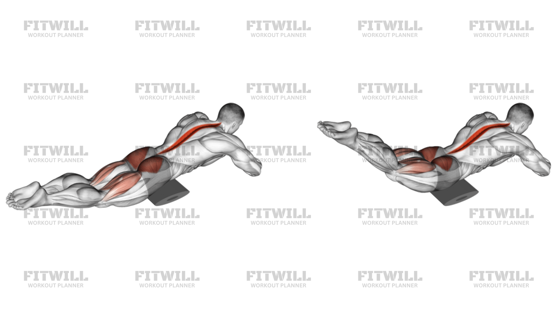 Reverse Back Extension On Floor: Exercise Guide, Techniques, Benefits ...