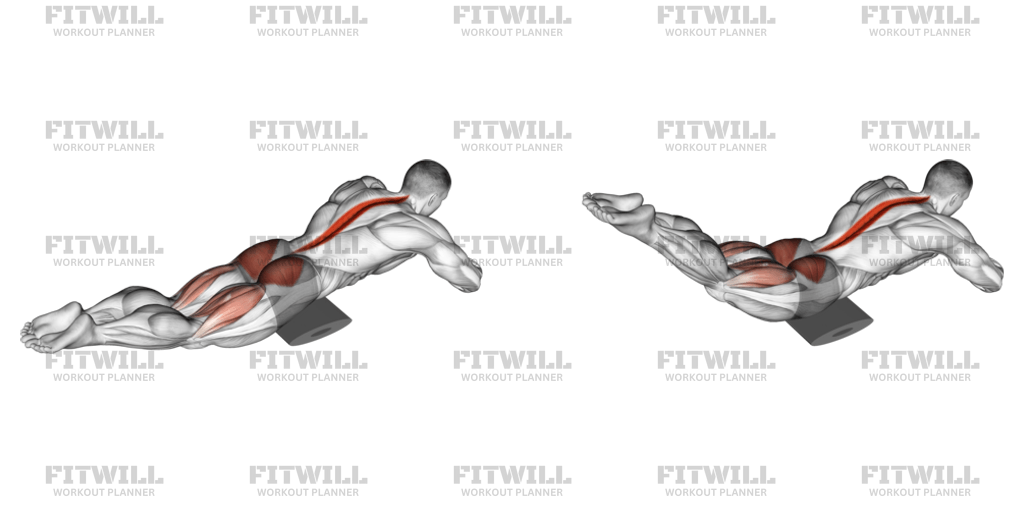 Reverse Back Extension On Floor: Exercise Guide, Techniques, Benefits ...