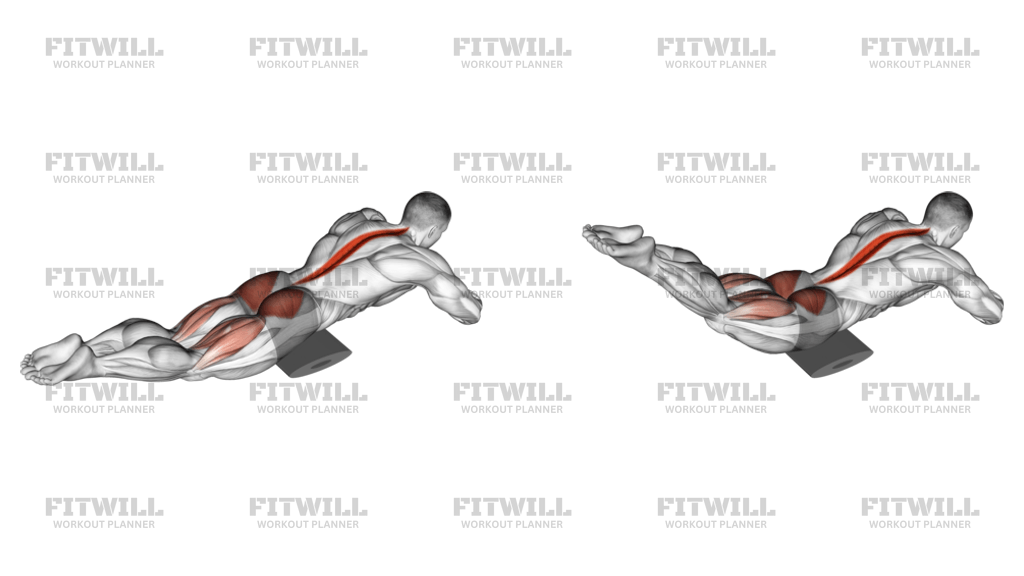 Reverse Back Extension On Floor: Exercise Guide, Techniques, Benefits ...