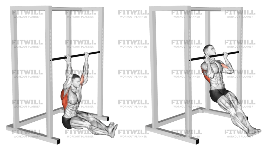 Seated Chin-up: Exercise Guide, Video, Techniques, Benefits, How to ...