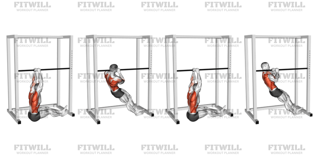 Seated Commando Pull-up: Exercise Guide, Techniques, Benefits, How to ...
