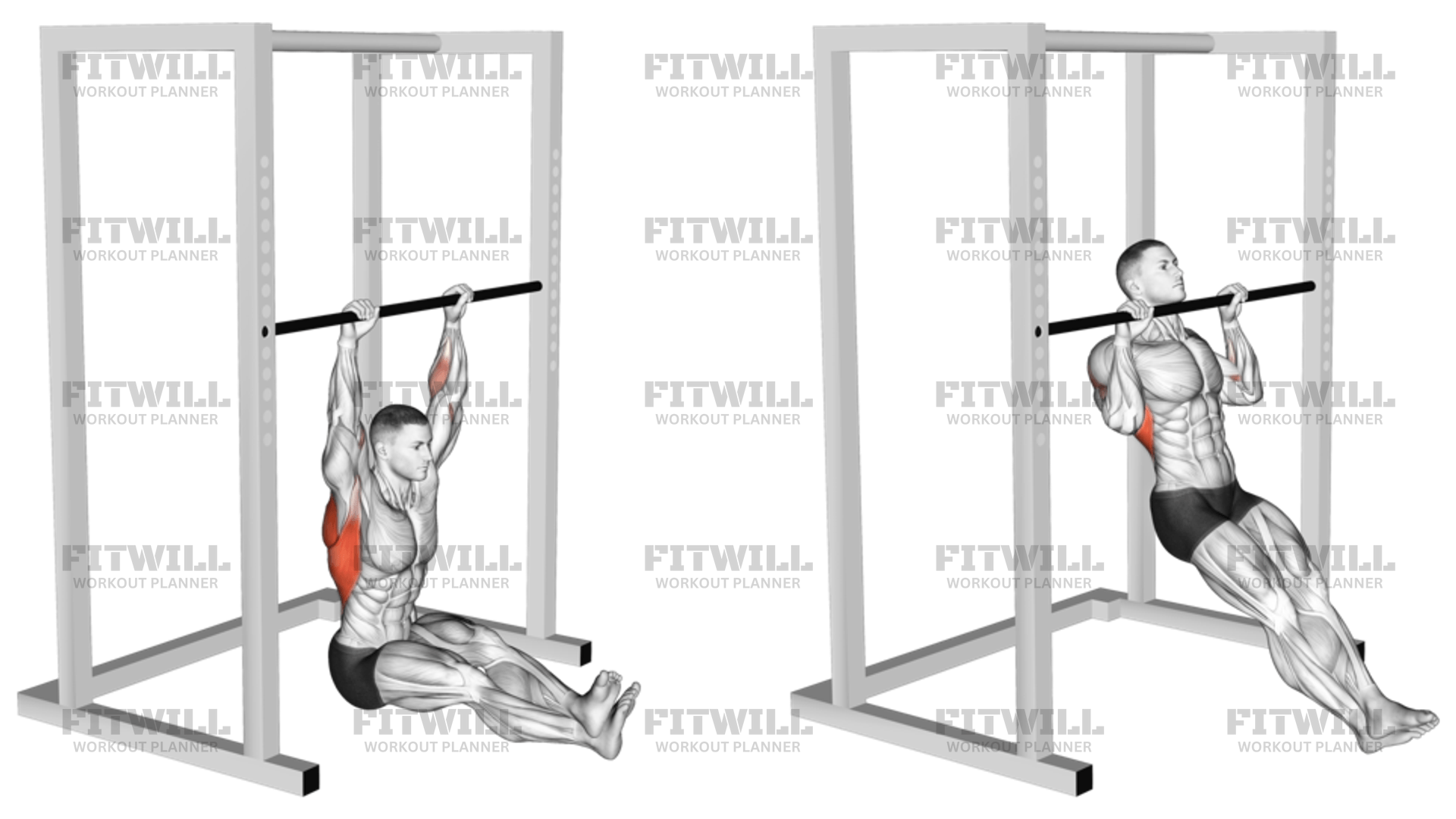 Seated Pull-up: Exercise Guide, Video, Techniques, Benefits, How to ...