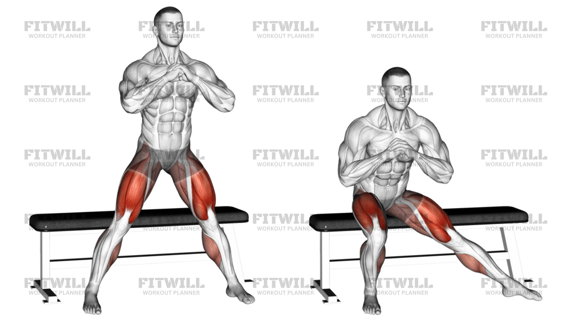 Sentadilla Lateral En Banco: Guía de Ejercicios, Técnicas, Beneficios ...