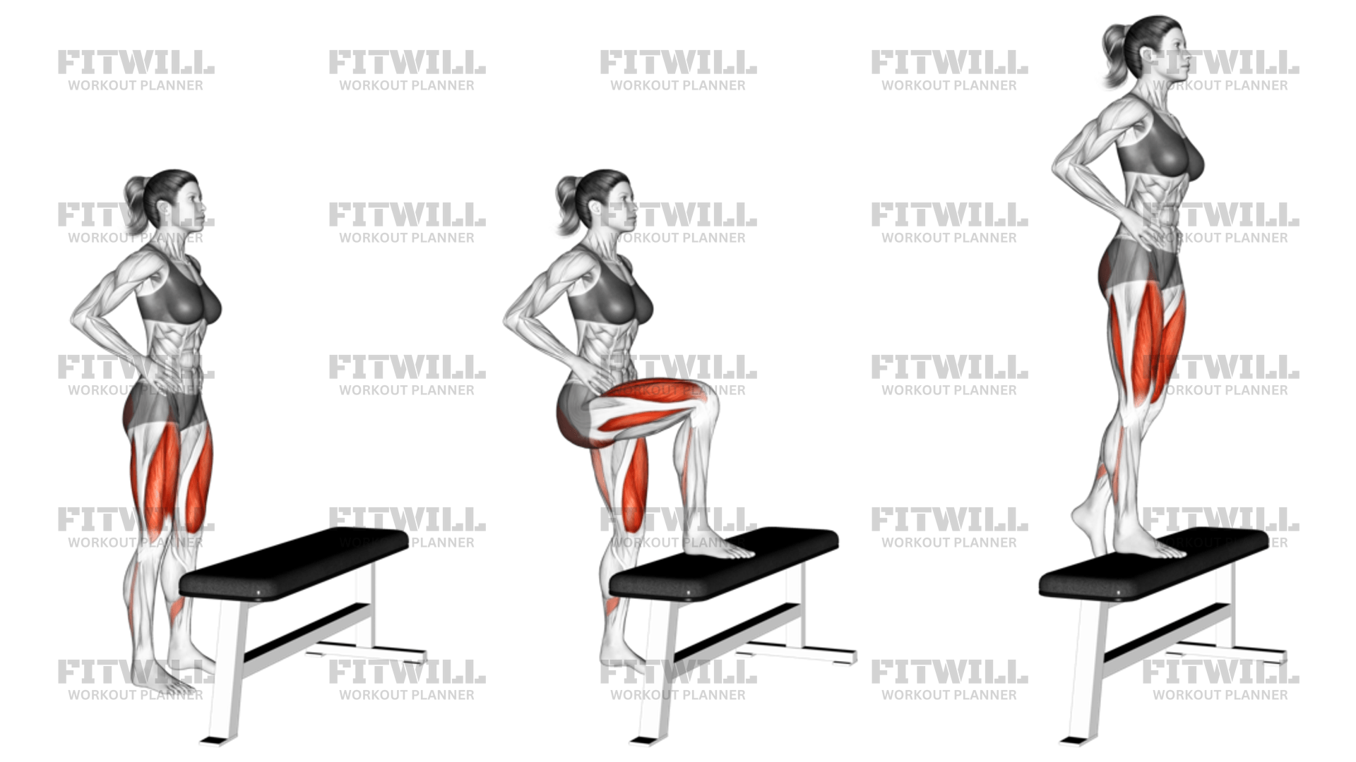 Single Leg Step-up On Bench: Exercise Guide, Techniques, Benefits, How ...