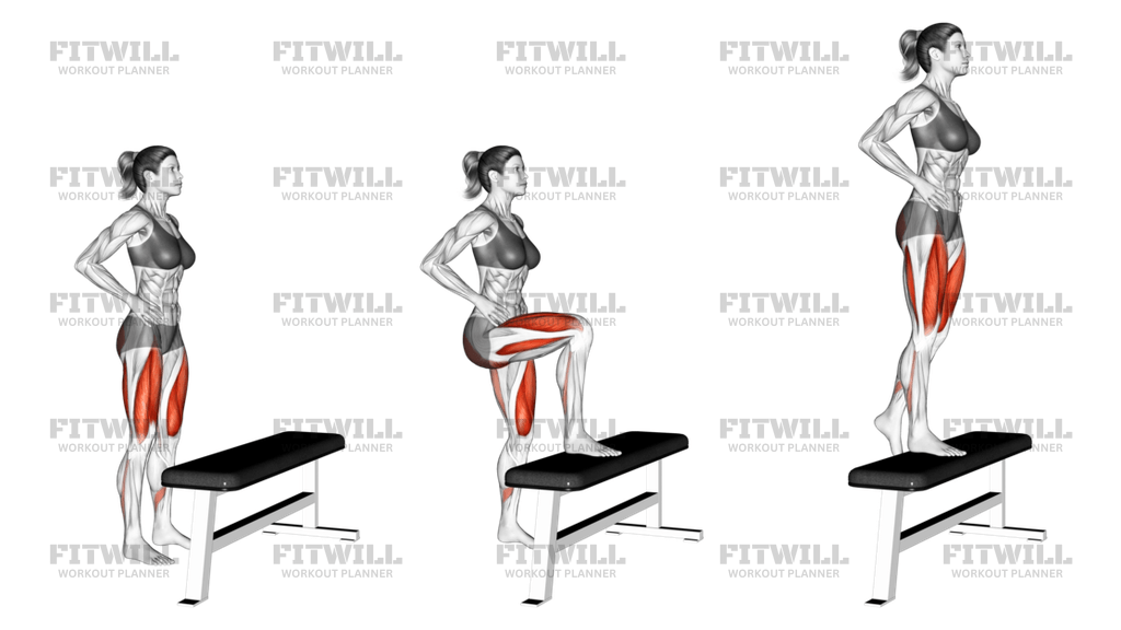 How to do Single Leg Step-up on Bench: Techniques, Benefits, Tips ...