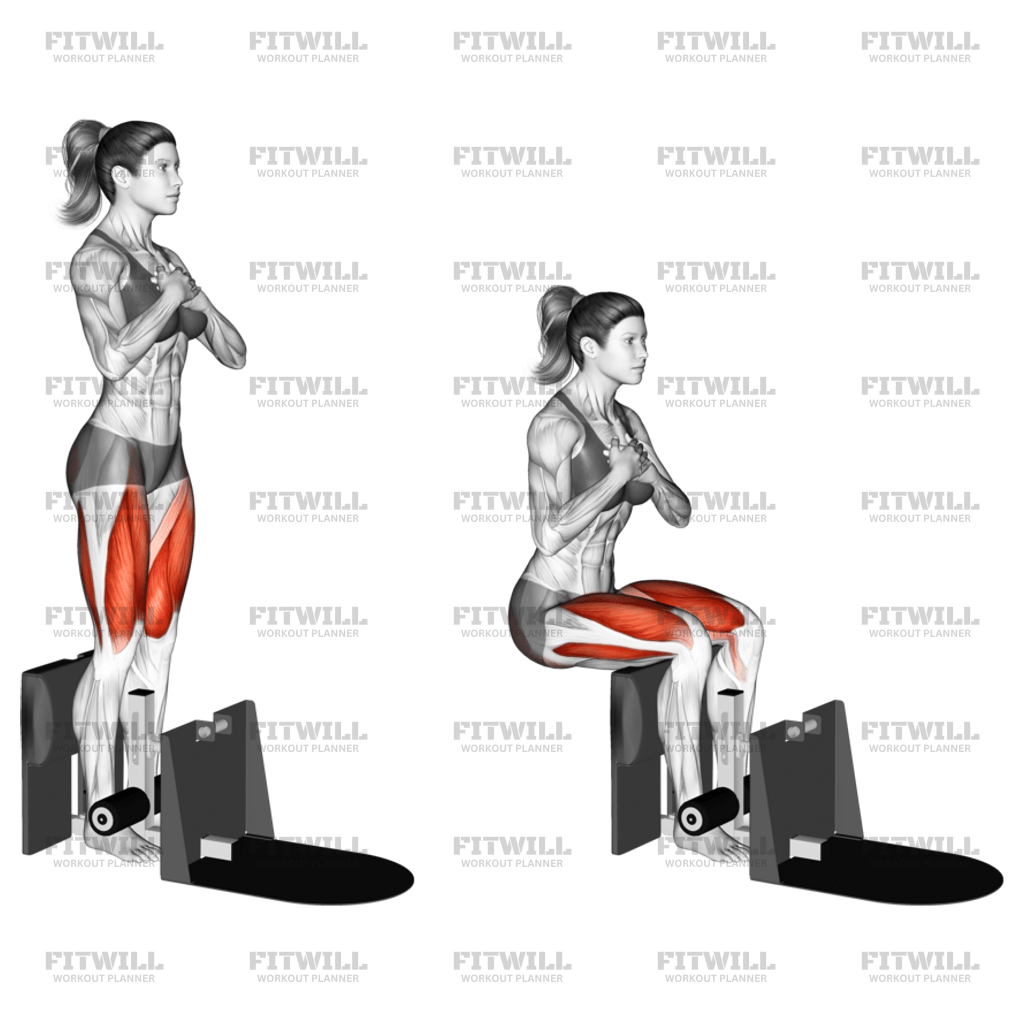 Supported Squat: Exercise Guide, Video, Techniques, Benefits, How to, Muscles Worked, Tips ...